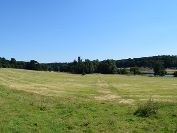 Panshanger Park | Herts and Middlesex Wildlife Trust