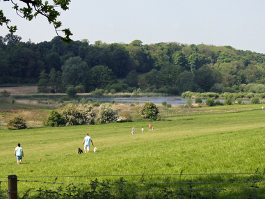 Panshanger Park | Herts and Middlesex Wildlife Trust