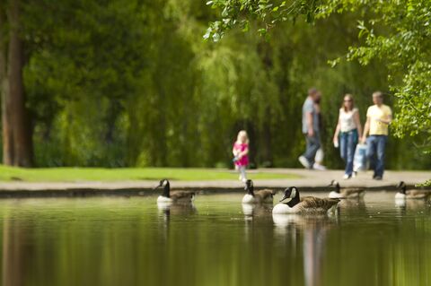 Wildlife Charity Spells Out Ideas and Benefits for Going 30 Days Wild ...