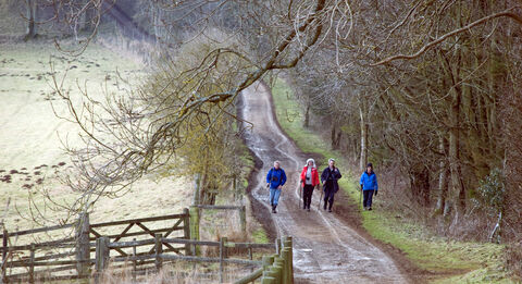 What to see (and do) in January | Herts and Middlesex Wildlife Trust