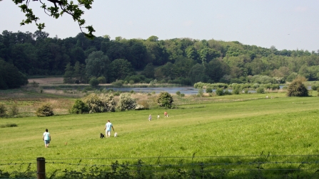 Panshanger Park | Herts and Middlesex Wildlife Trust