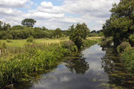World Wetlands Day 2023 | Herts and Middlesex Wildlife Trust