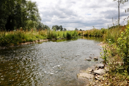 Leading our national pilot for citizen science on chalk rivers | Herts ...