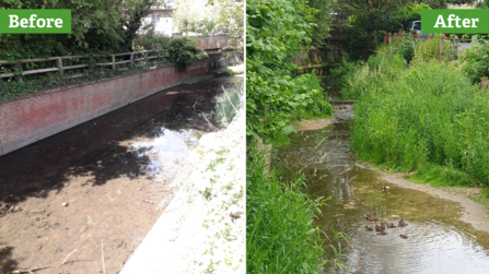Four River Restoration Projects to Celebrate Rivers Week | Herts and ...