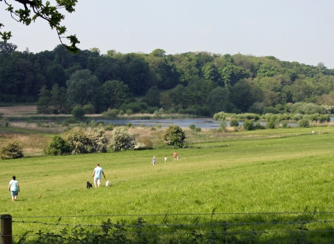 Panshanger Park | Herts and Middlesex Wildlife Trust