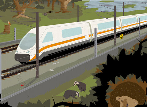 HS2 – new report reveals exorbitant cost to nature | Herts and ...